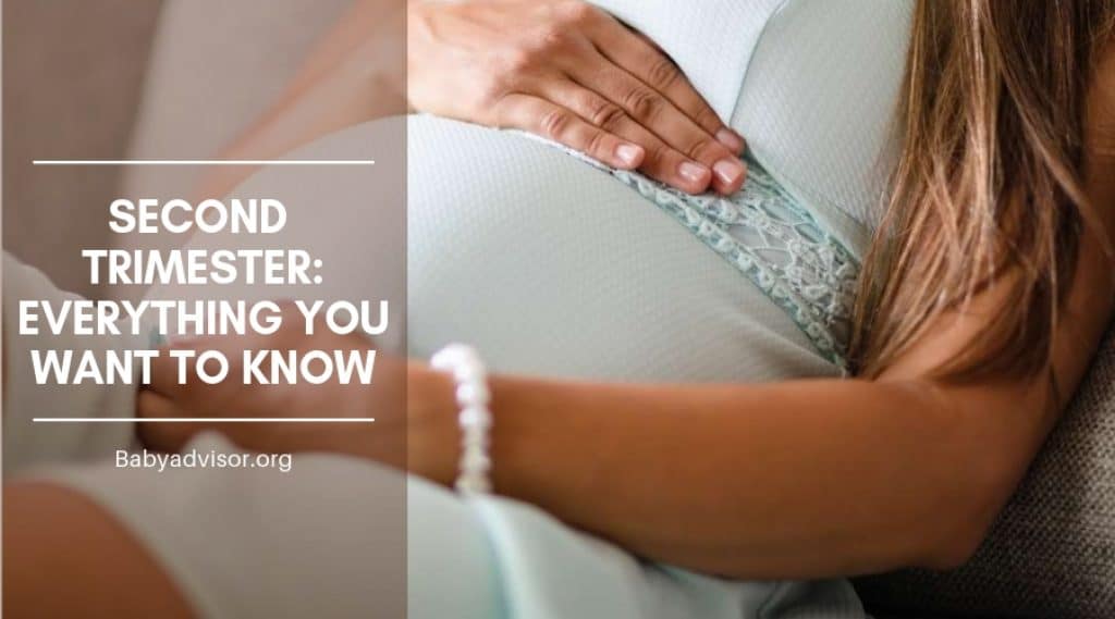 Second Trimester: Everything You Want to Know | Baby Advisor