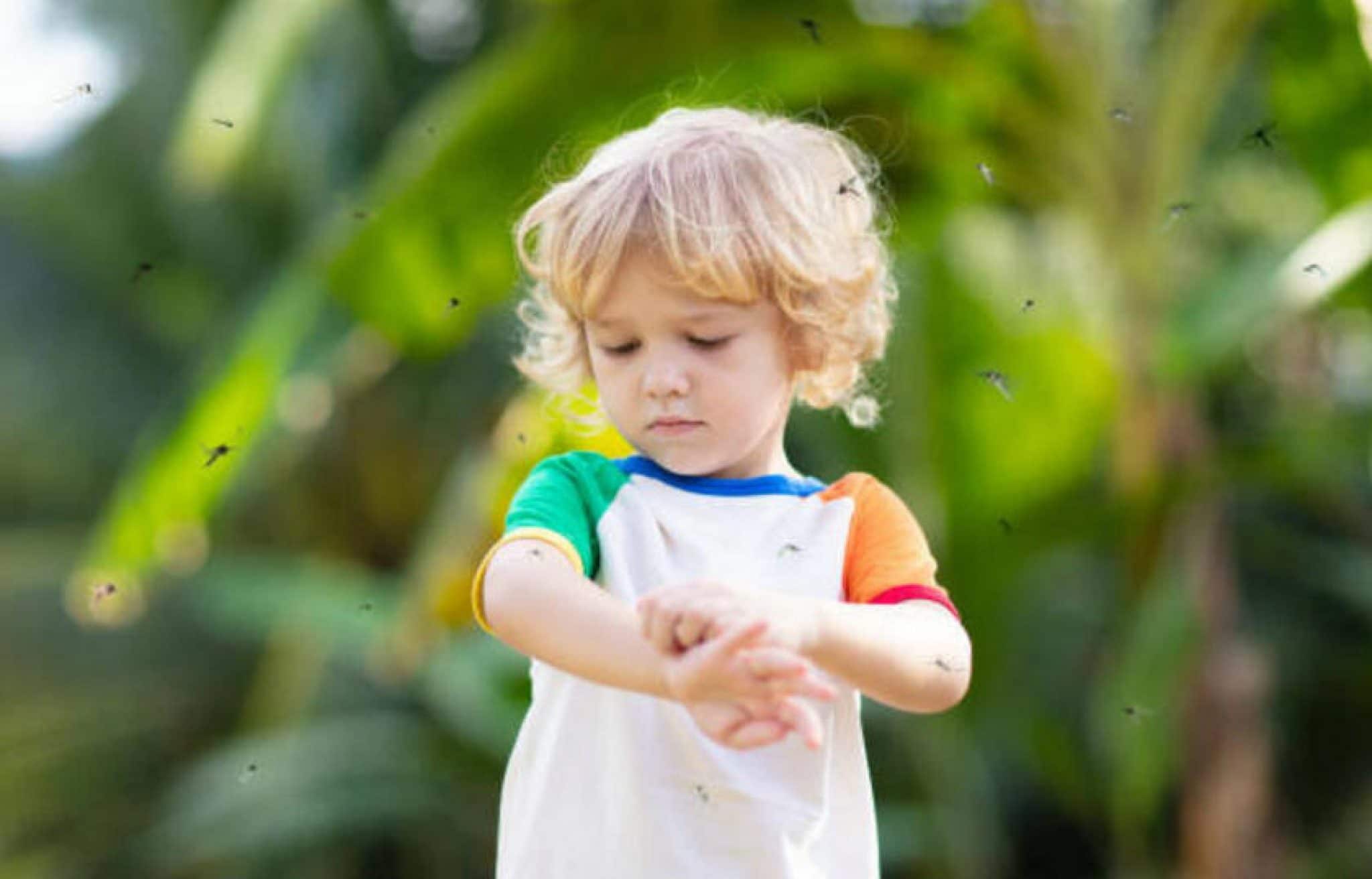 Best Baby Mosquito Repellents 2024 - A Mom's Safe & Natural Choice ...